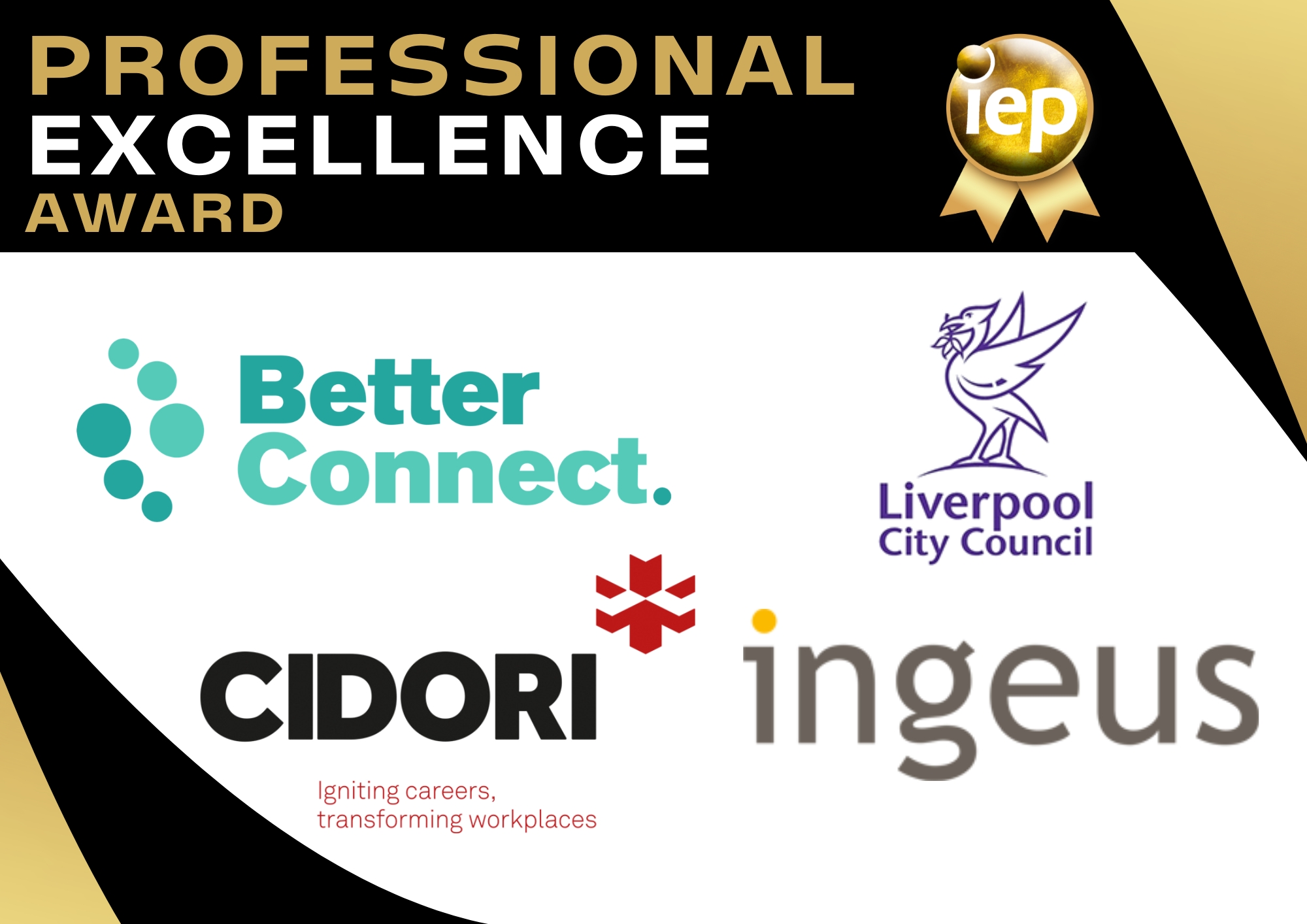IEP Professional Excellence Awards – 4 New Organisations Recognised in ...